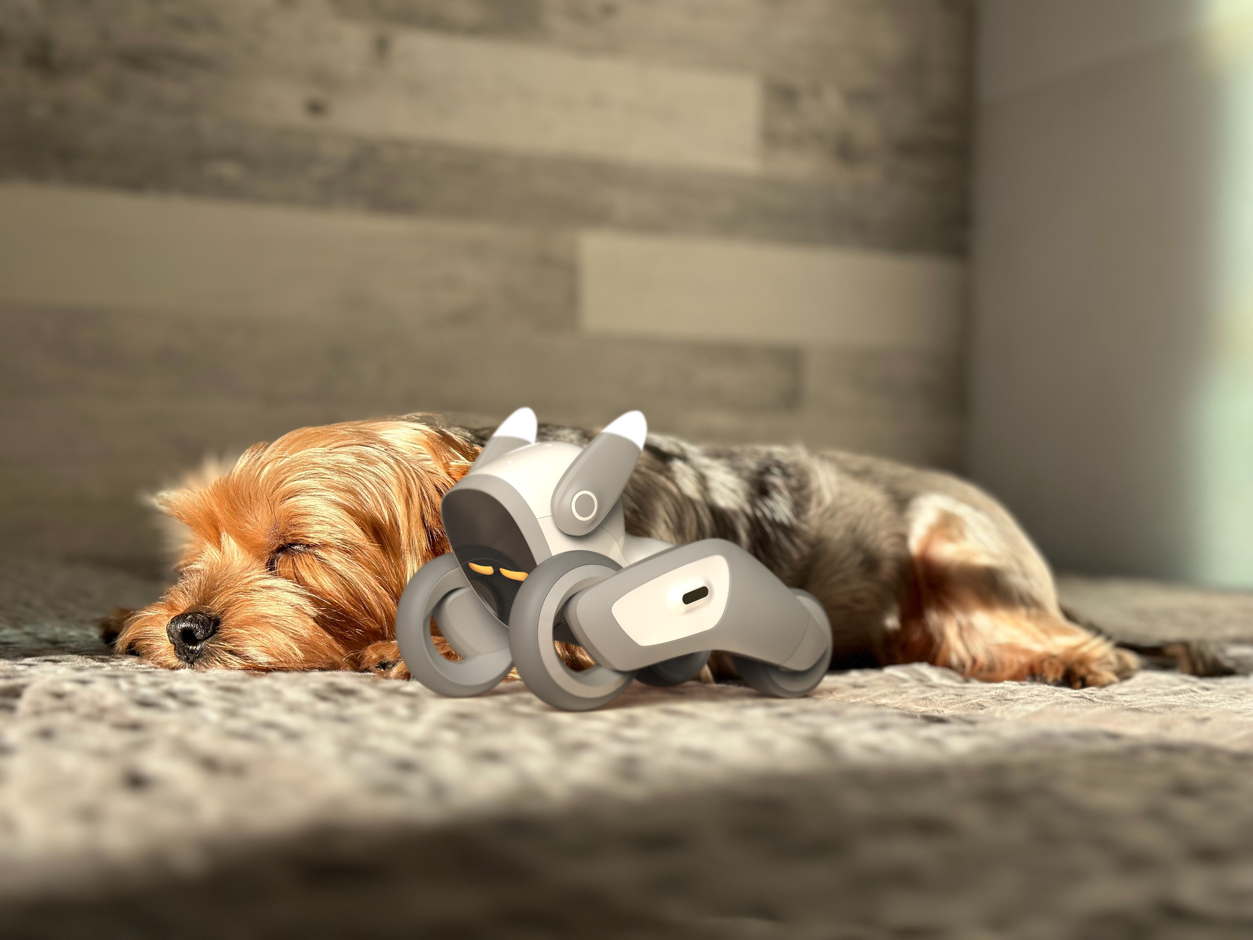 Unlock Loona's Full Potential: The Ultimate Guide to Everything Your R