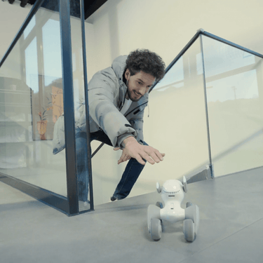 Loona Robot: Loona is an intelligent robot created for companions