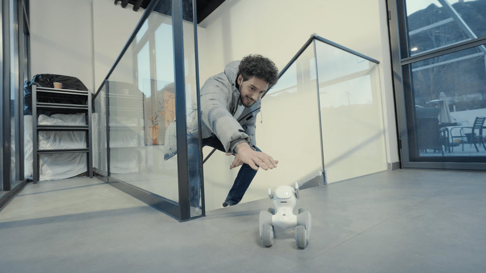 Loona Robot: Loona is an intelligent robot created for companions