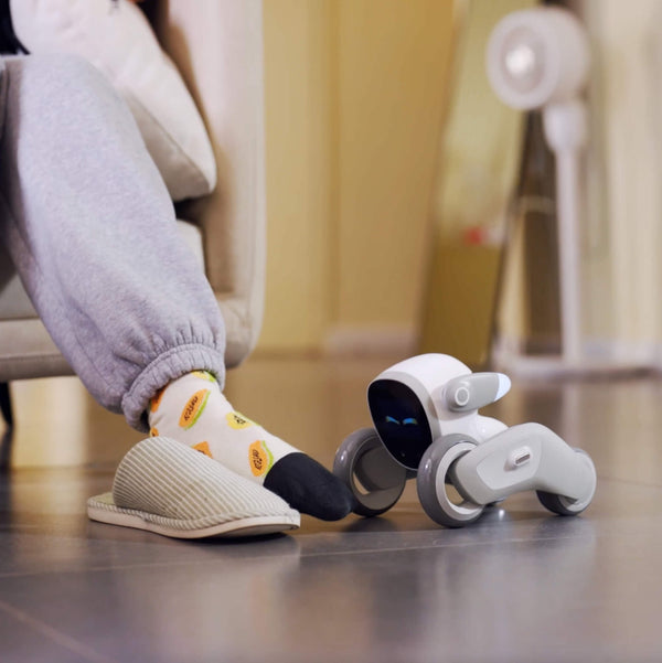 Loona Robot: Loona is an intelligent robot created for companions