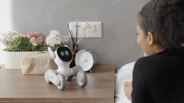 Loona Robot: Loona is an intelligent robot created for companions