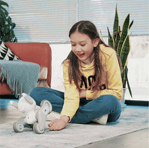 Loona Robot: Loona is an intelligent robot created for companions