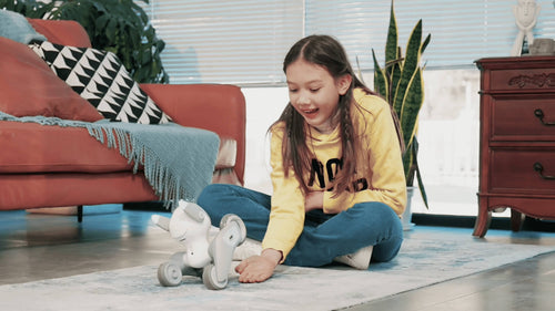 Loona Robot: Loona is an intelligent robot created for companions