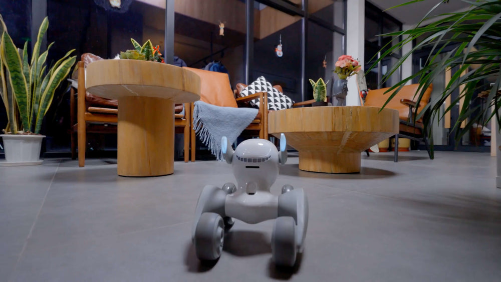 Loona Robot: Loona is an intelligent robot created for companions