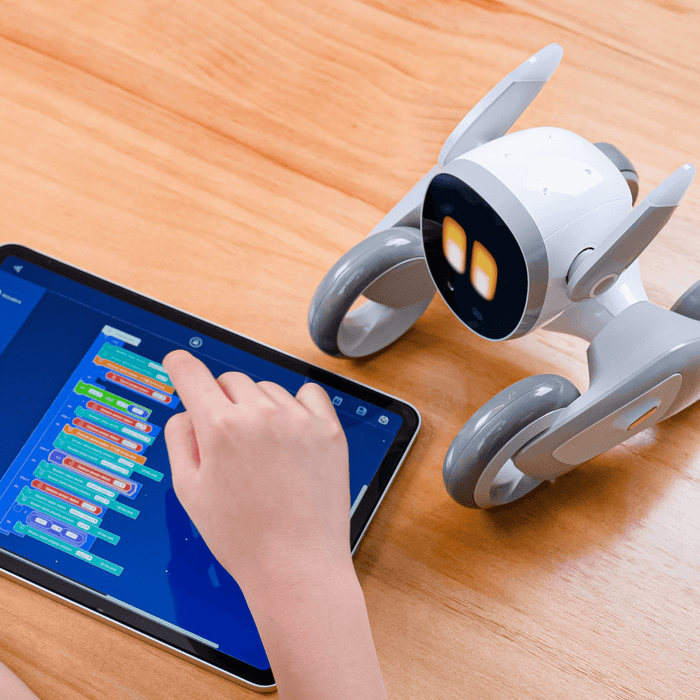 Loona Robot: Loona is an intelligent robot created for companions